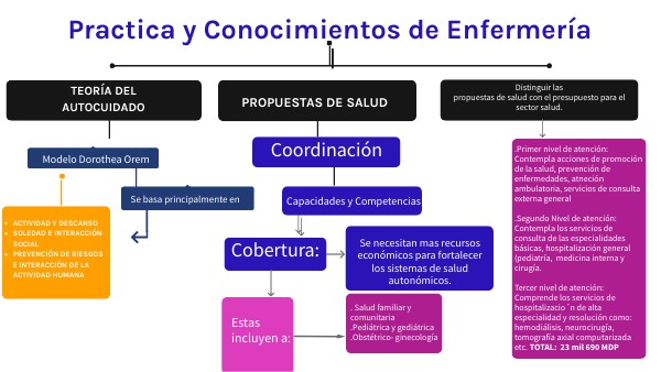 MAPA CONCEPTUAL PRACTICA Y CONOCIMIENTOS DE ENFERMERIA