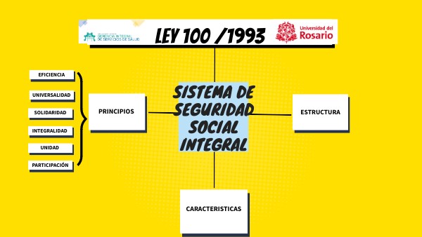 LEY 100/1993