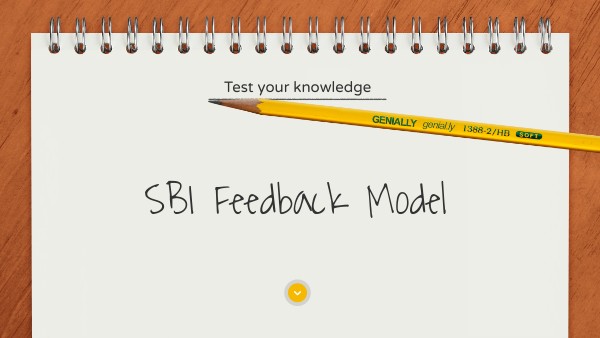 SBI Feedback Model