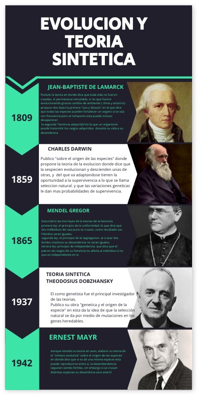 evolución y teoría sintética