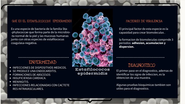Estafilococos epidermidis
