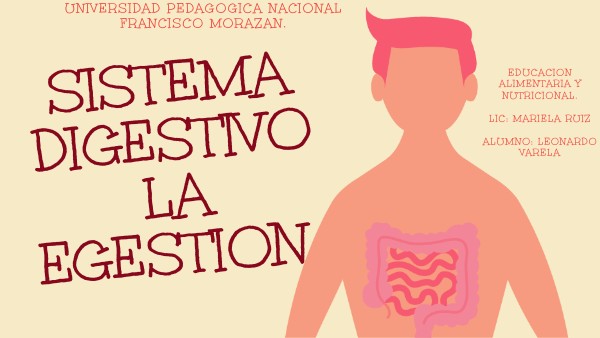 Egestion Biology M2 Nutrition