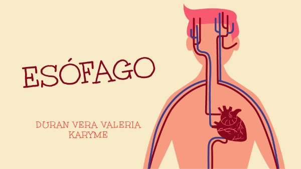 ESOFAGO