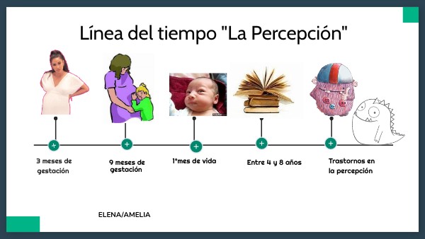 Línea del tiempo "La percepción