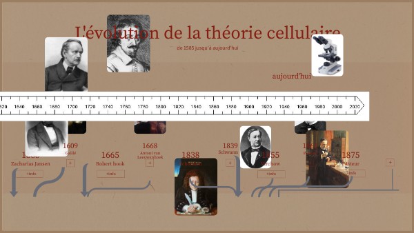 Frise Chronologique SVT