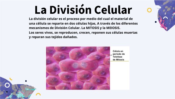 División Celular.