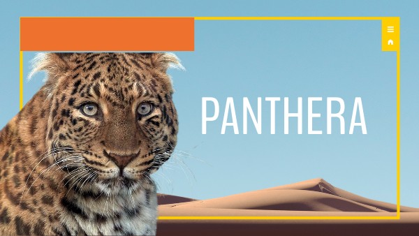Panthera