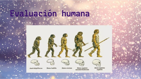 Evaluación humana Martita