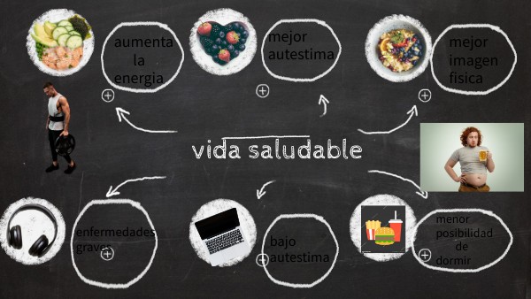 VIDA SALUDABLE (PROYECTO)