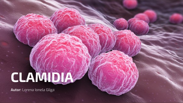 CLAMIDIA LORENA4º