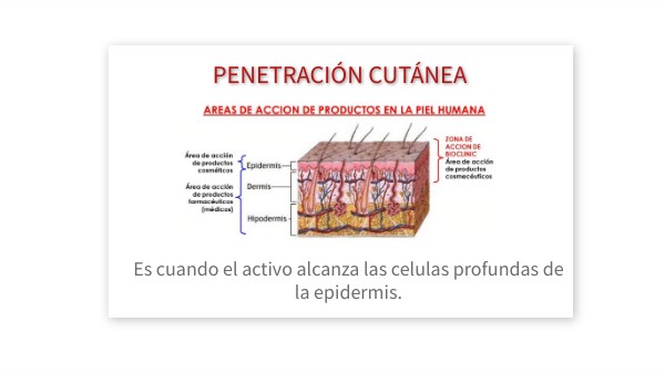 penetración cutánea