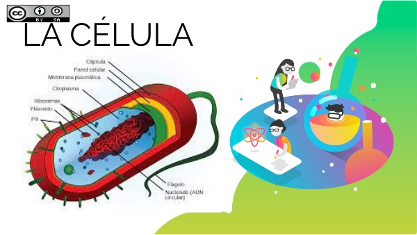 La célula