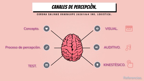 Canales de percepción.
