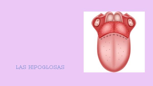 MÚSCULO DE LA LENGUA