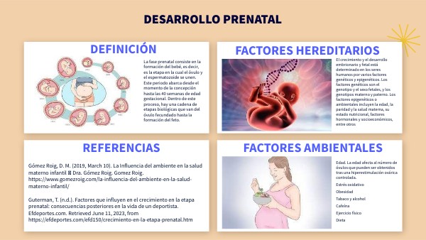 Desarrollo prenatal