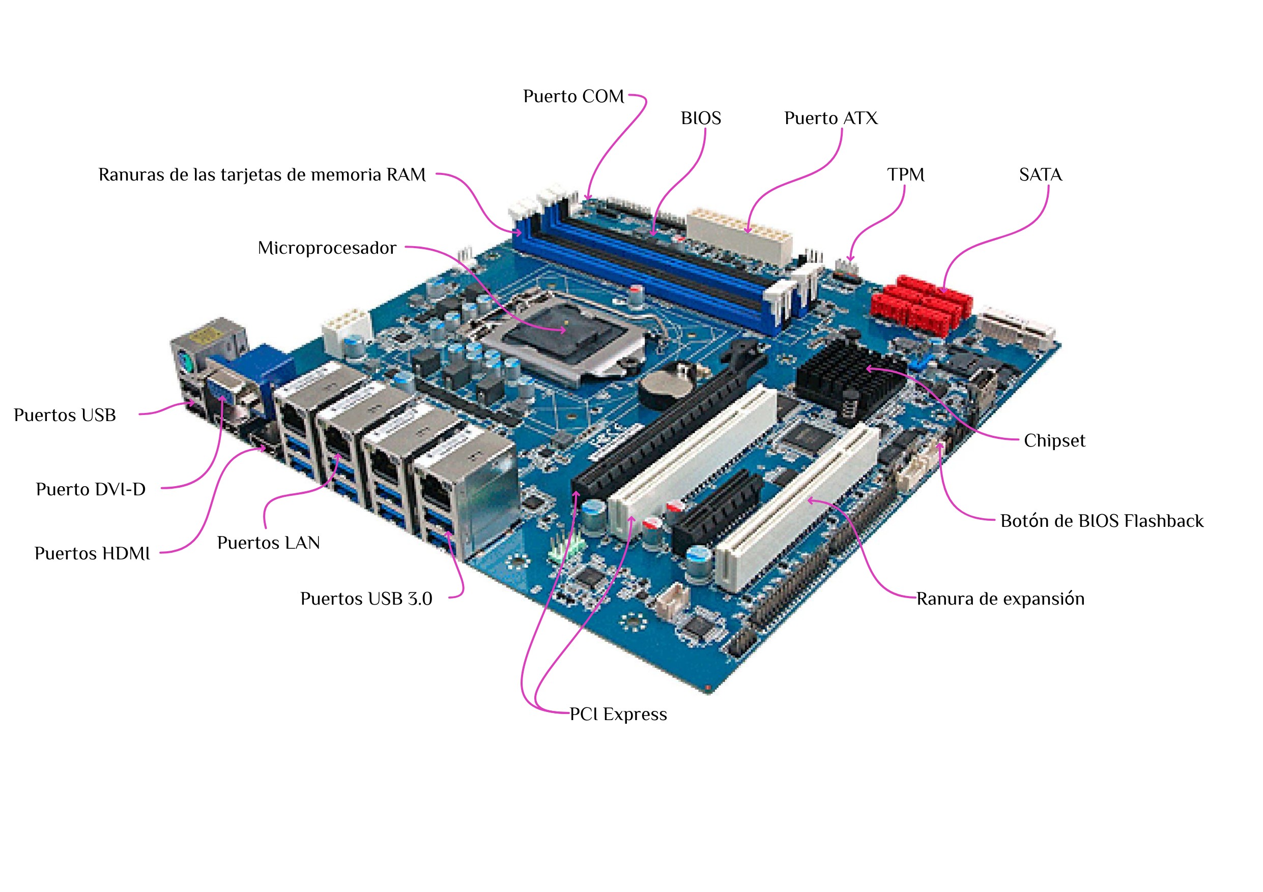 Partes de la Placa Base