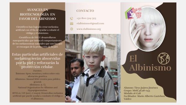 TRÍPTICO EL ALBINISMO AI4M16