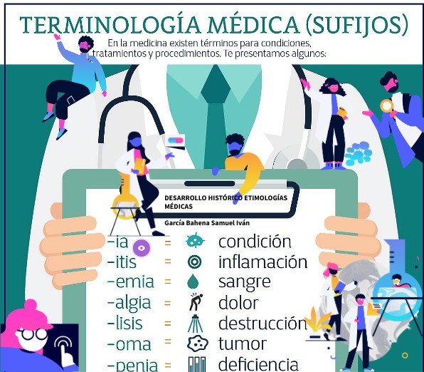 Imagen interactiva Terminología Médica