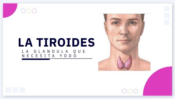 ¿Qué Es El Tiroides Y Para Qué Sirve – YNAK