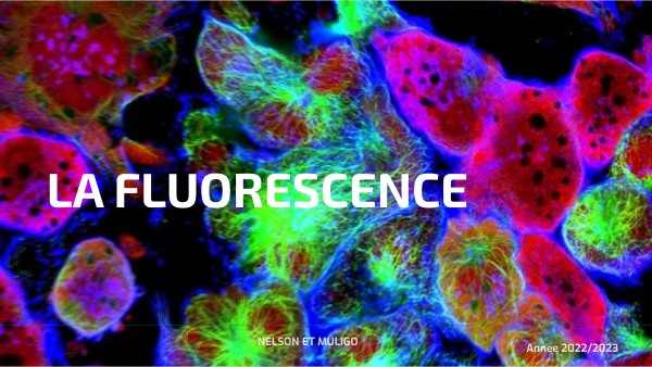 LA FLUORESCENCE