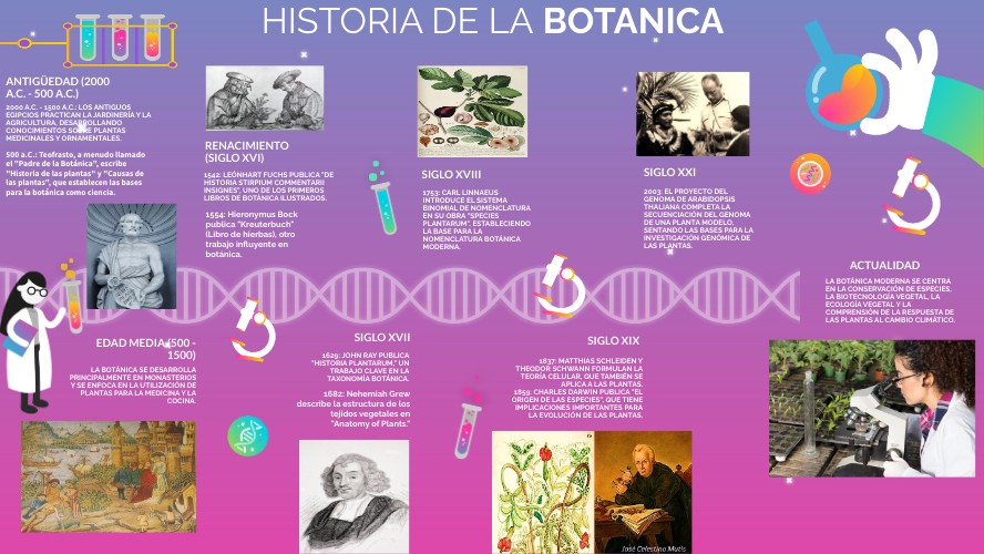 Historia de la botanica