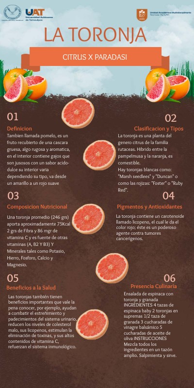 La toronja