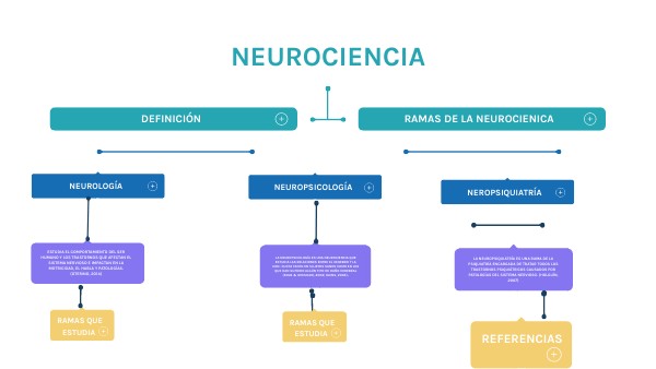 MAPA CONCEPTUAL NEUROCIENCIAS