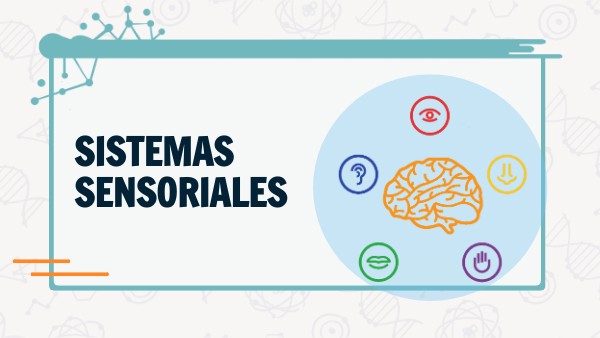 SISTEMAS SENSORIALES