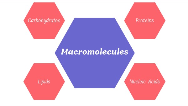 Macromolecules