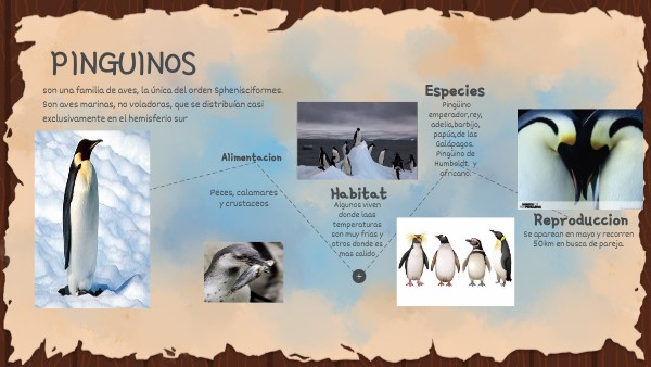 INFOGRAFIA PINGUINOS