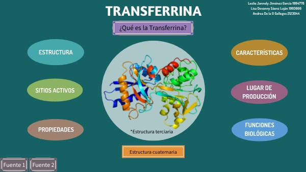 TRANSFERRINA.QM