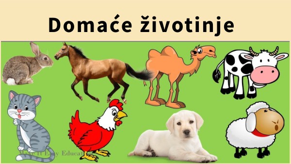 Domaće životinje