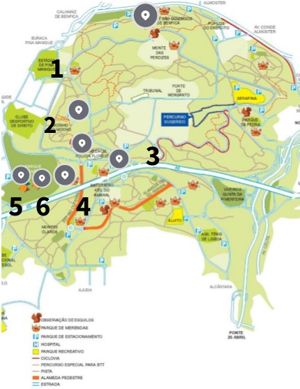 Mapa Do Parque Florestal De St Louis