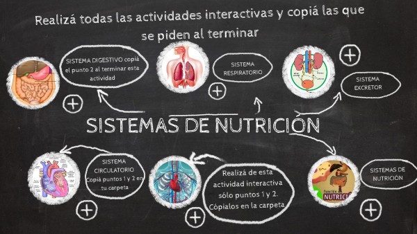 SISTEMAS DE NUTRICIÓN