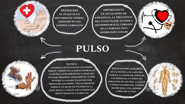 PULSO