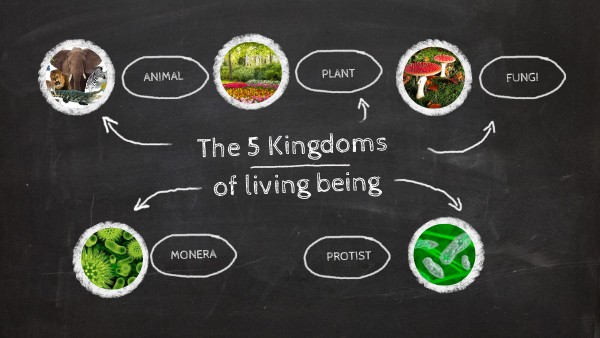 5 KINGDOMS OF LIVING BEING