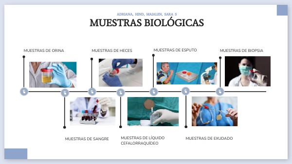 TIPOS DE MUESTRAS BIOLÓGICAS - Adriana, Hind, Maialen, Sara S