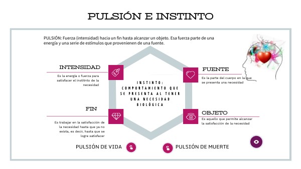 PULSIÓN E INSTINTO