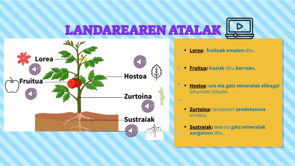 LANDAREAREN ATALAK