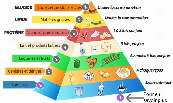 Les groupes d'aliments