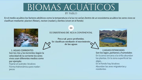 BIOMA ACUÁTICO
