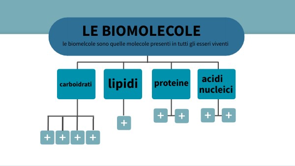 biomolecole graziano