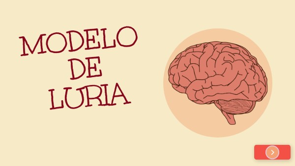 MODELO DE LURIA