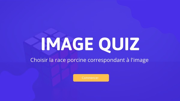 IMAGE QUIZ