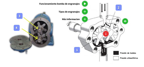 Bomba de Engranajes