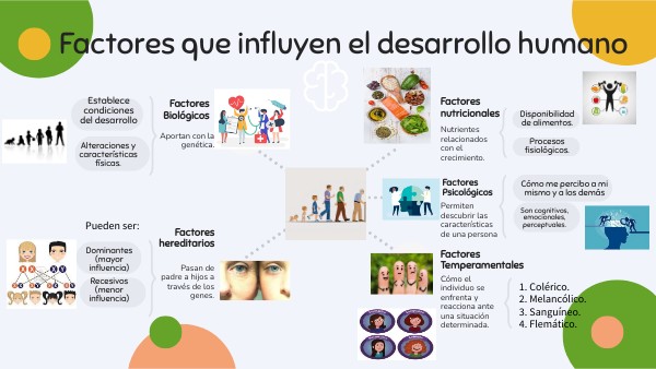 MAPA MENTAL FACT. QUE INFLUYEN EN EL DESARROLLO HUMANO.