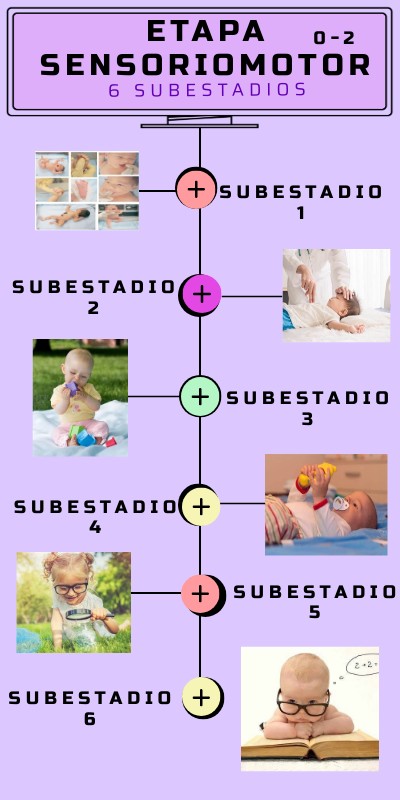 ESTAPA SENSORIOMOTOR