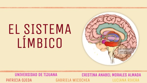 PRESENTACIÓN SISTEMA LIMBICO