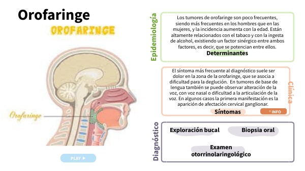 Epidemiología, clínica y diagnóstico: Orofaringe
