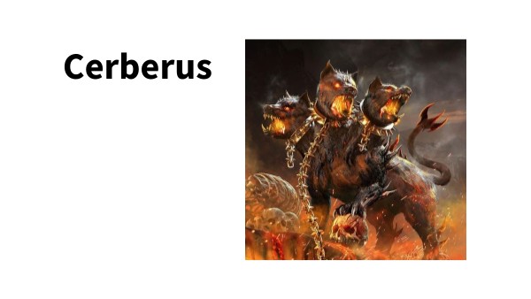 Cerberus